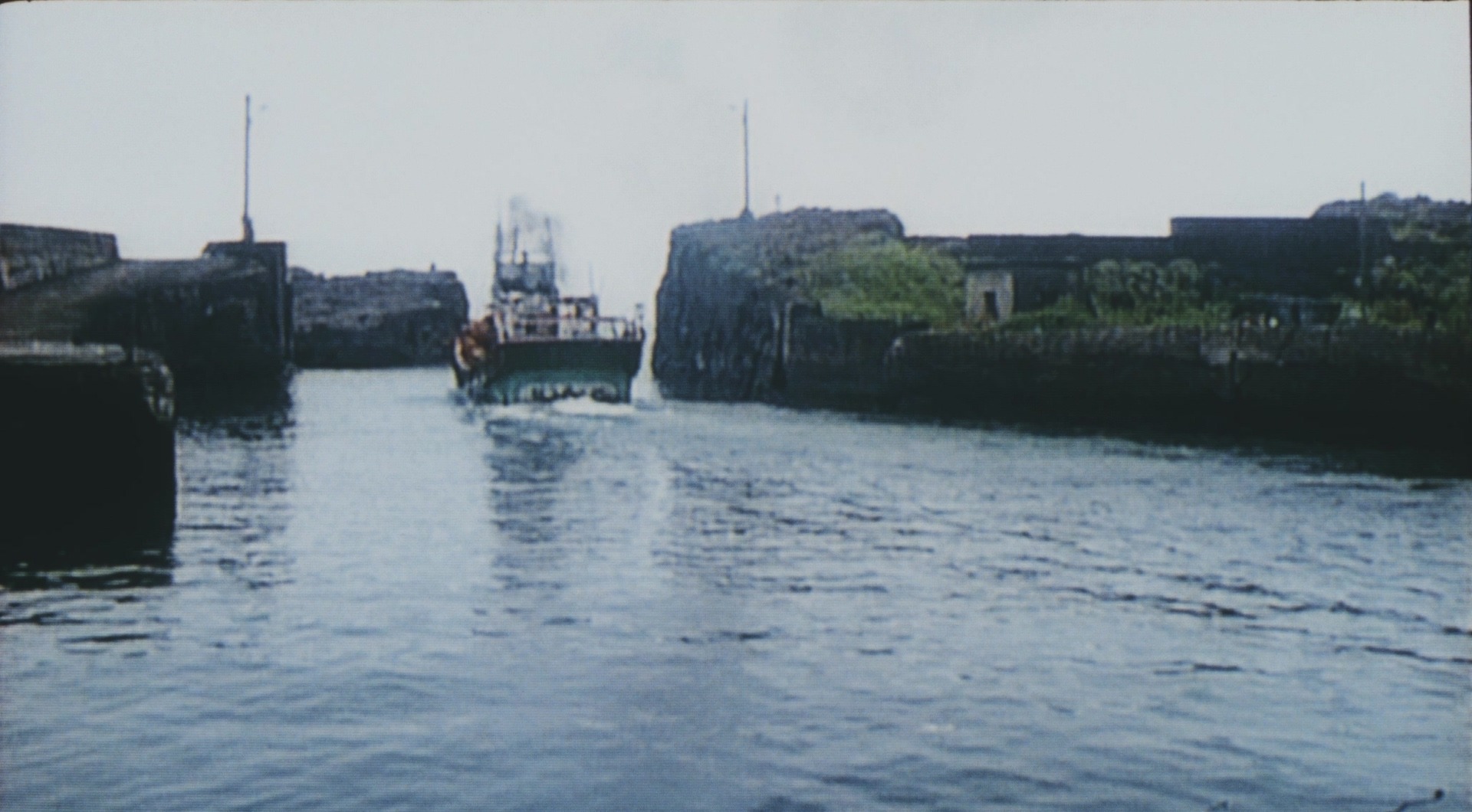 Turtle Island: Nostalgic Voices | Taiwan International Documentary Festival