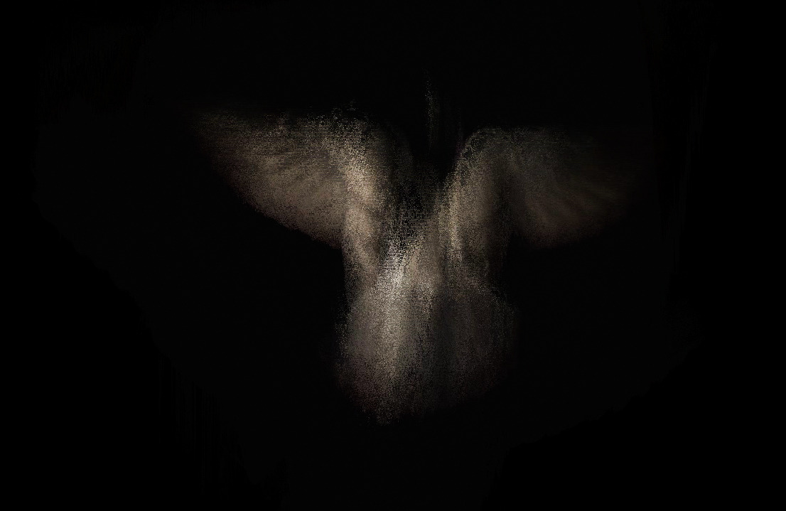 A Pigeon's Song | Taiwan International Documentary Festival