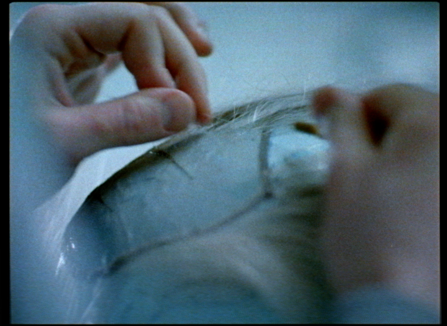 九龍東往事 | 台灣國際紀錄片影展