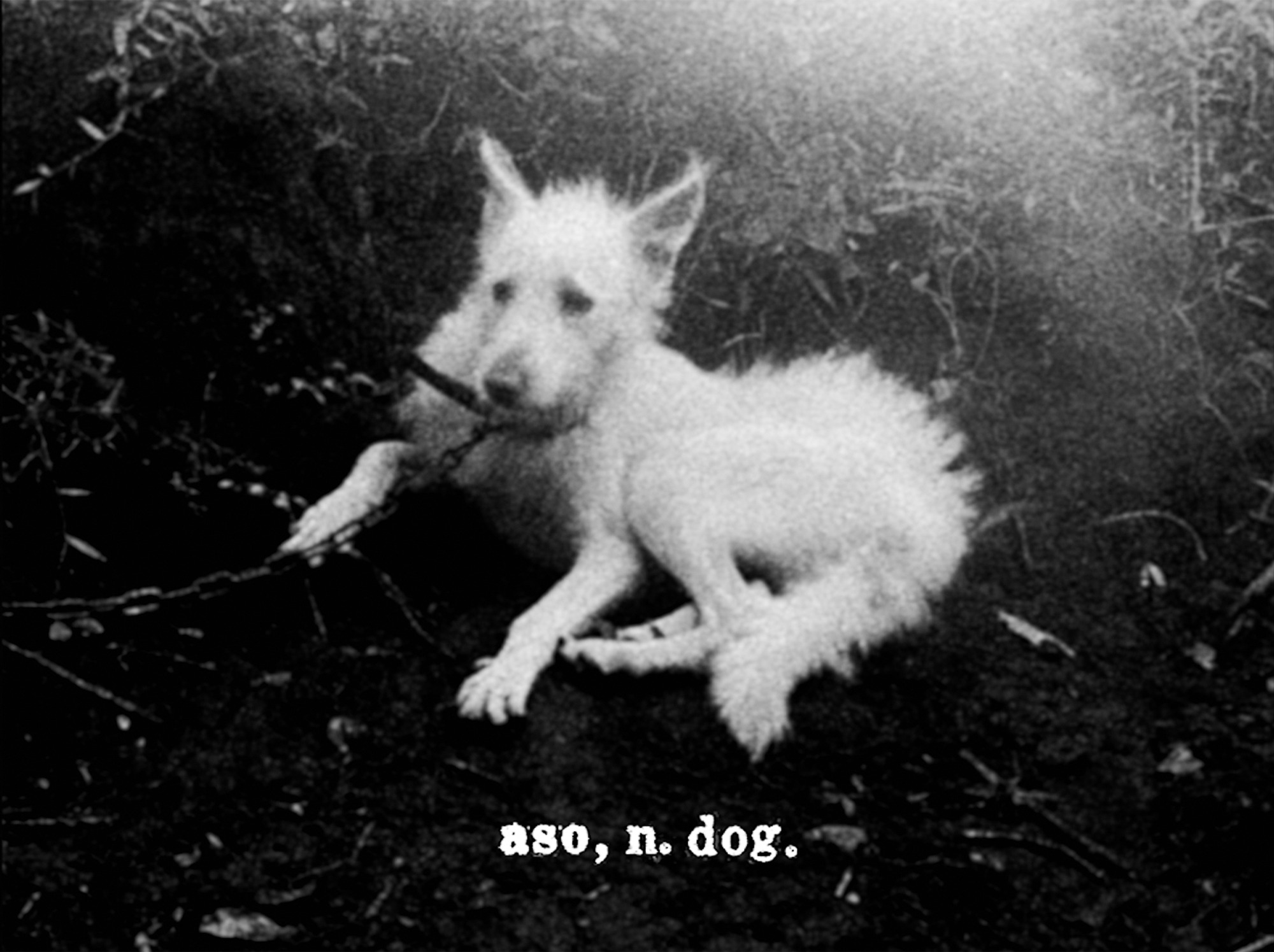 Anak Araw (Albino) | Taiwan International Documentary Festival