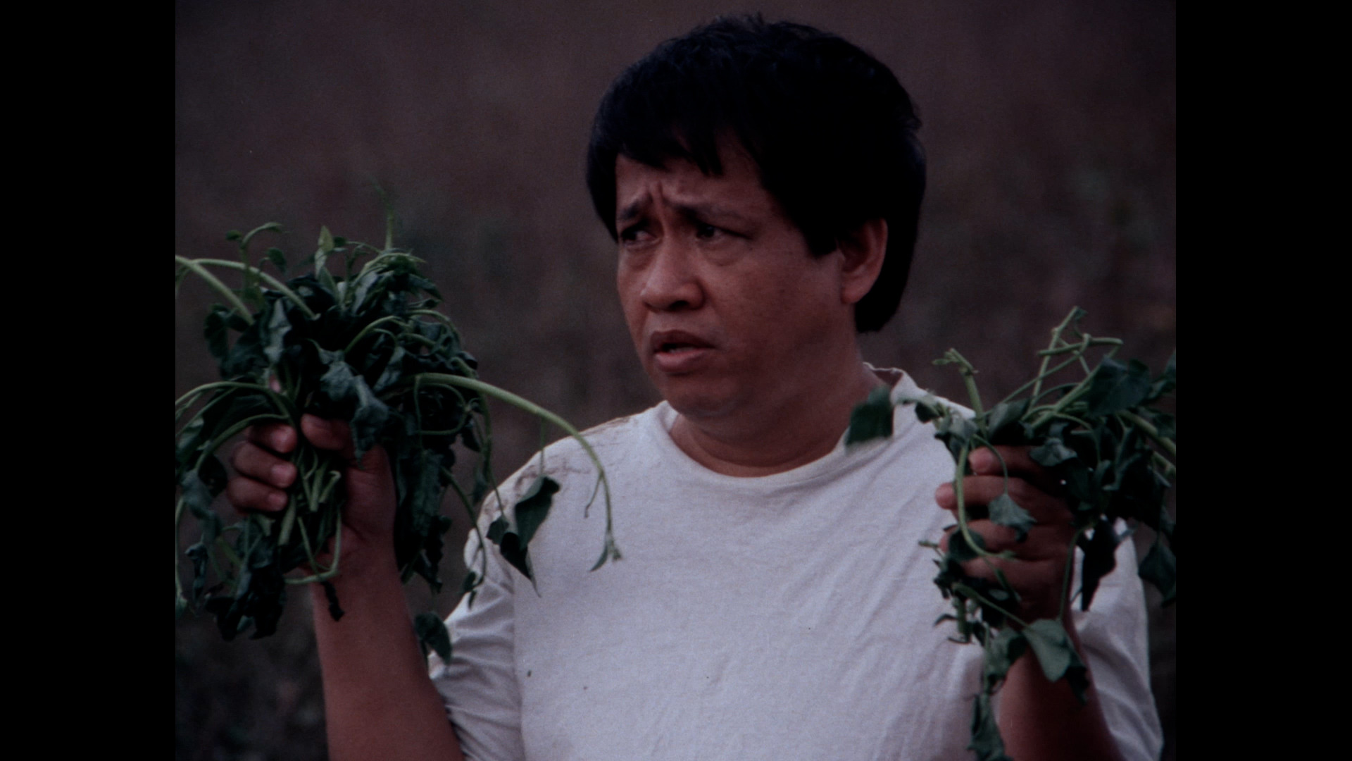 Cesar Asar | Taiwan International Documentary Festival