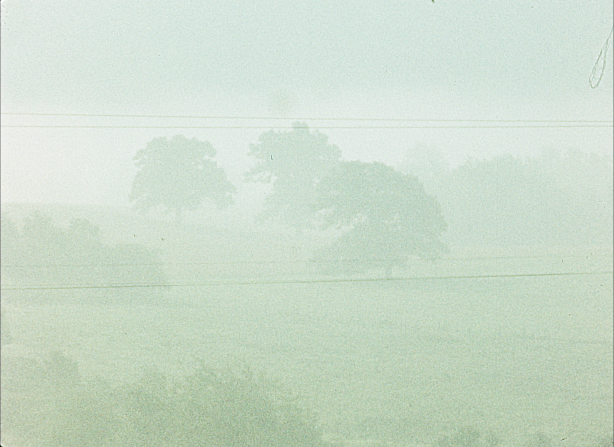 Fog Line | Taiwan International Documentary Festival