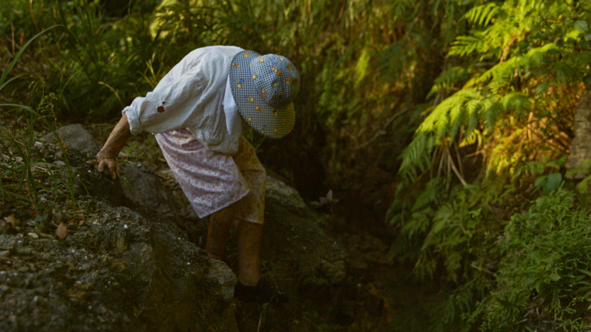 Green Jail | Taiwan International Documentary Festival