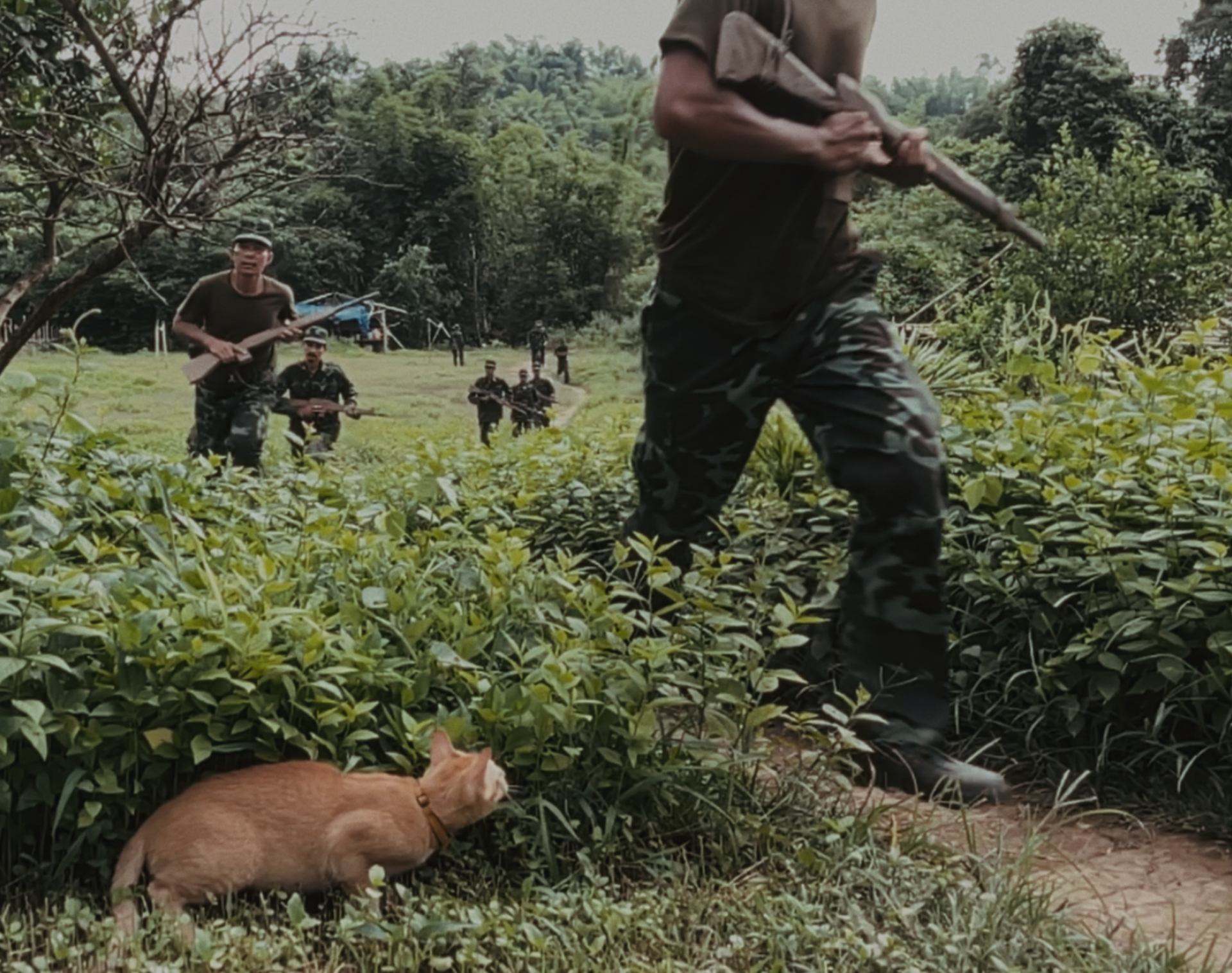 Comrade Poopy | Taiwan International Documentary Festival