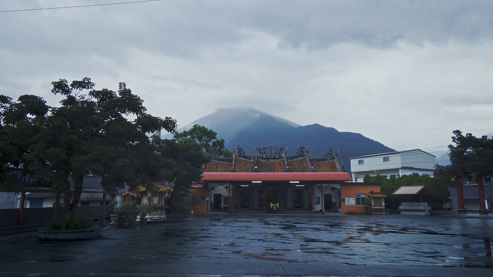 Taste of Wild Tomato | Taiwan International Documentary Festival