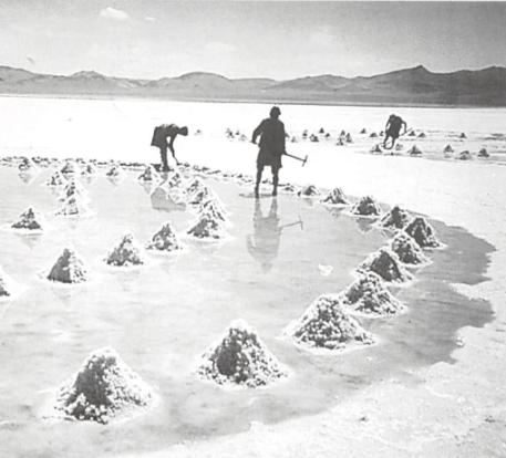 The Saltmen of Tibet | Taiwan International Documentary Festival